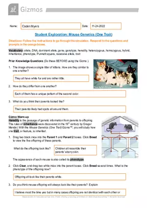 Virtual High School - Edubirdie